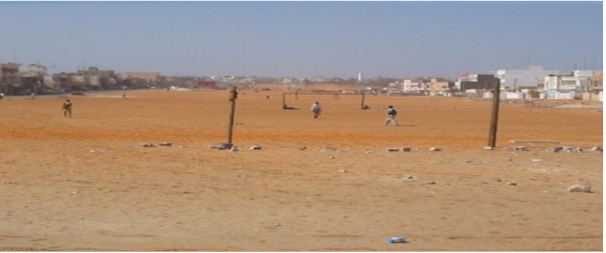 Etude d’Impact Environnemental et Social du projet de la voie de ...